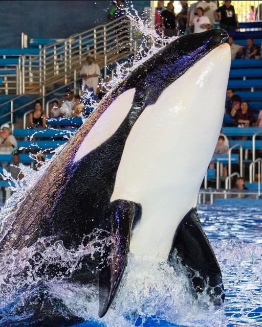 Unfolding the final days before Jonathan Joss's murder