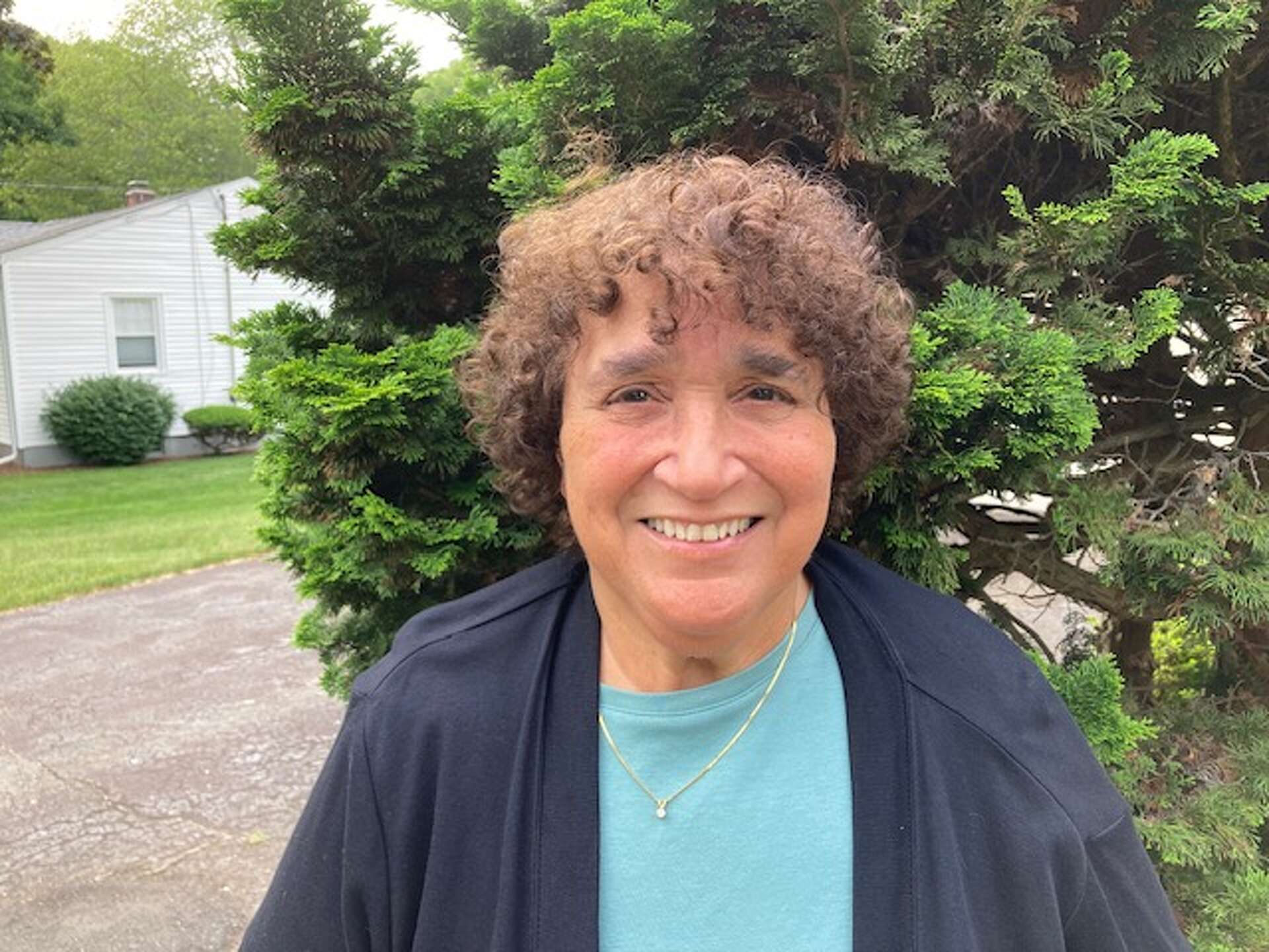 Two North Haven Democrats seek selectman nomination