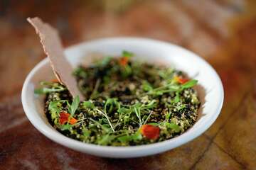 Maximo review: A top spot for bold, modern Mexican food in Houston