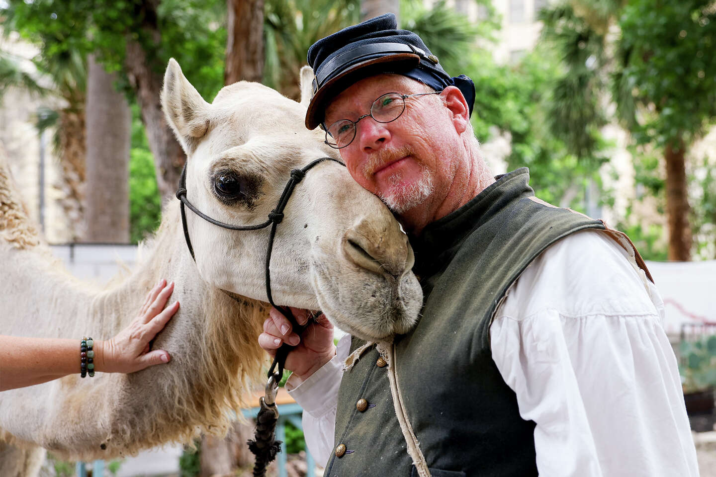Remember the camels? The Alamo commemorates U.S. Army experiment
