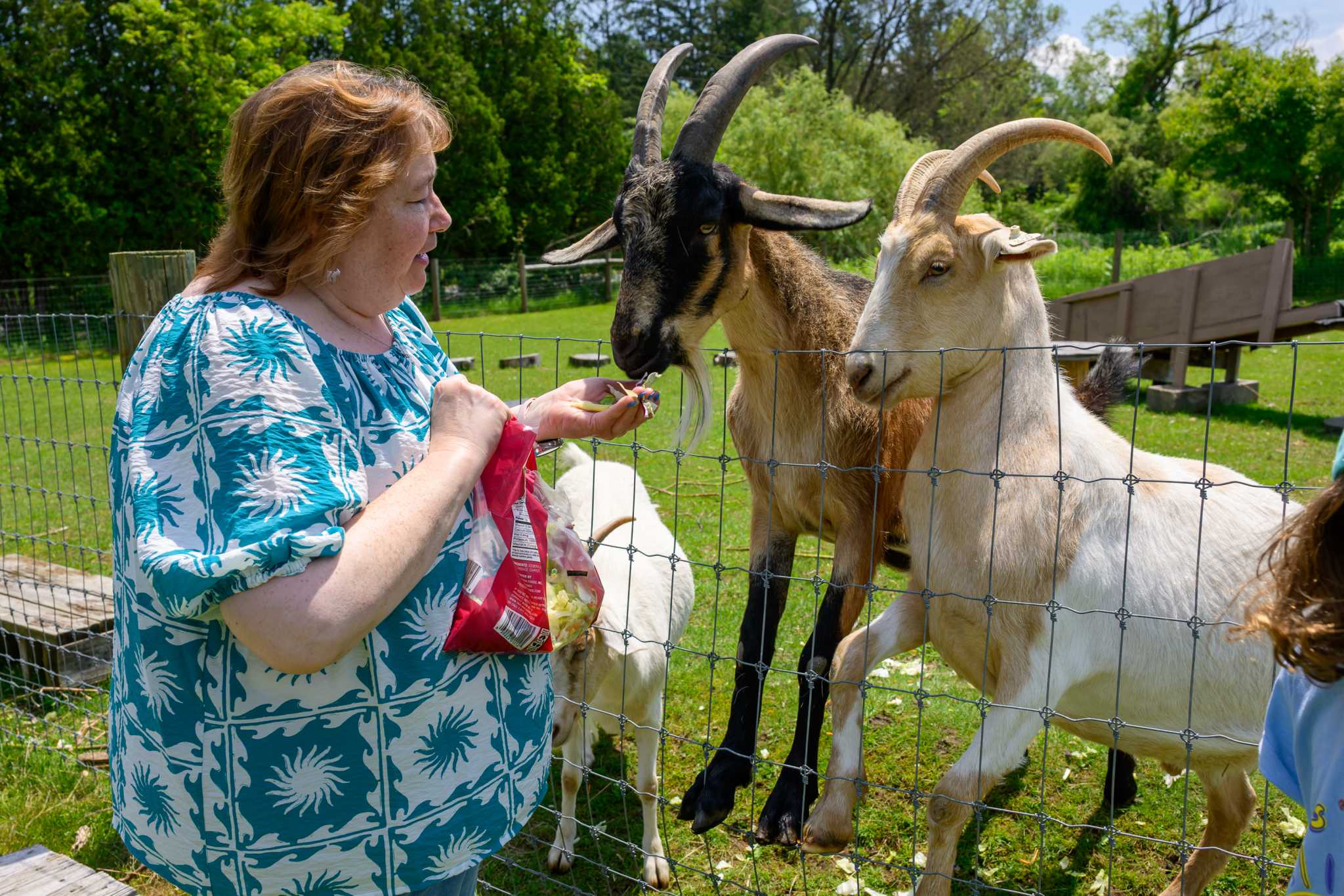 Colonie's Laura Vale’s long road to a starring role in 'Culprit'