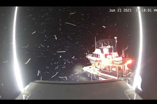 25 people rescued after boat in CT River runs aground, officials say