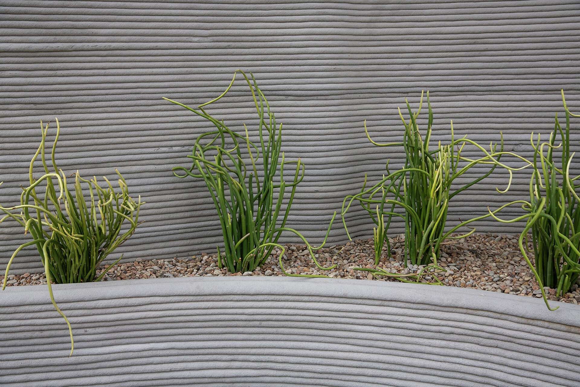 SXSW: Austin-based Icon shows the possibilities for 3D-printed homes