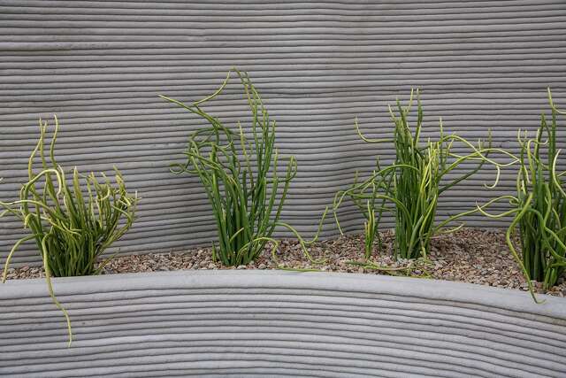 Look inside 'House Zero', Austin's newest 3D-printed home