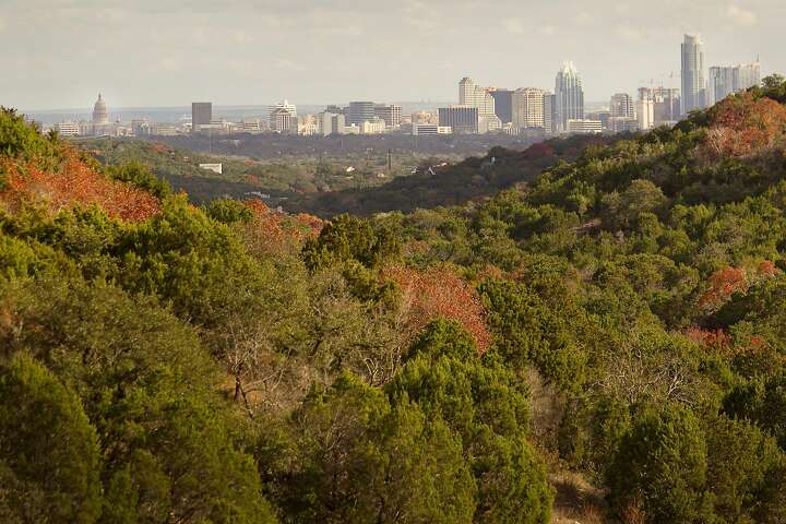 Suffering from cedar fever? See what to expect in Austin allergies