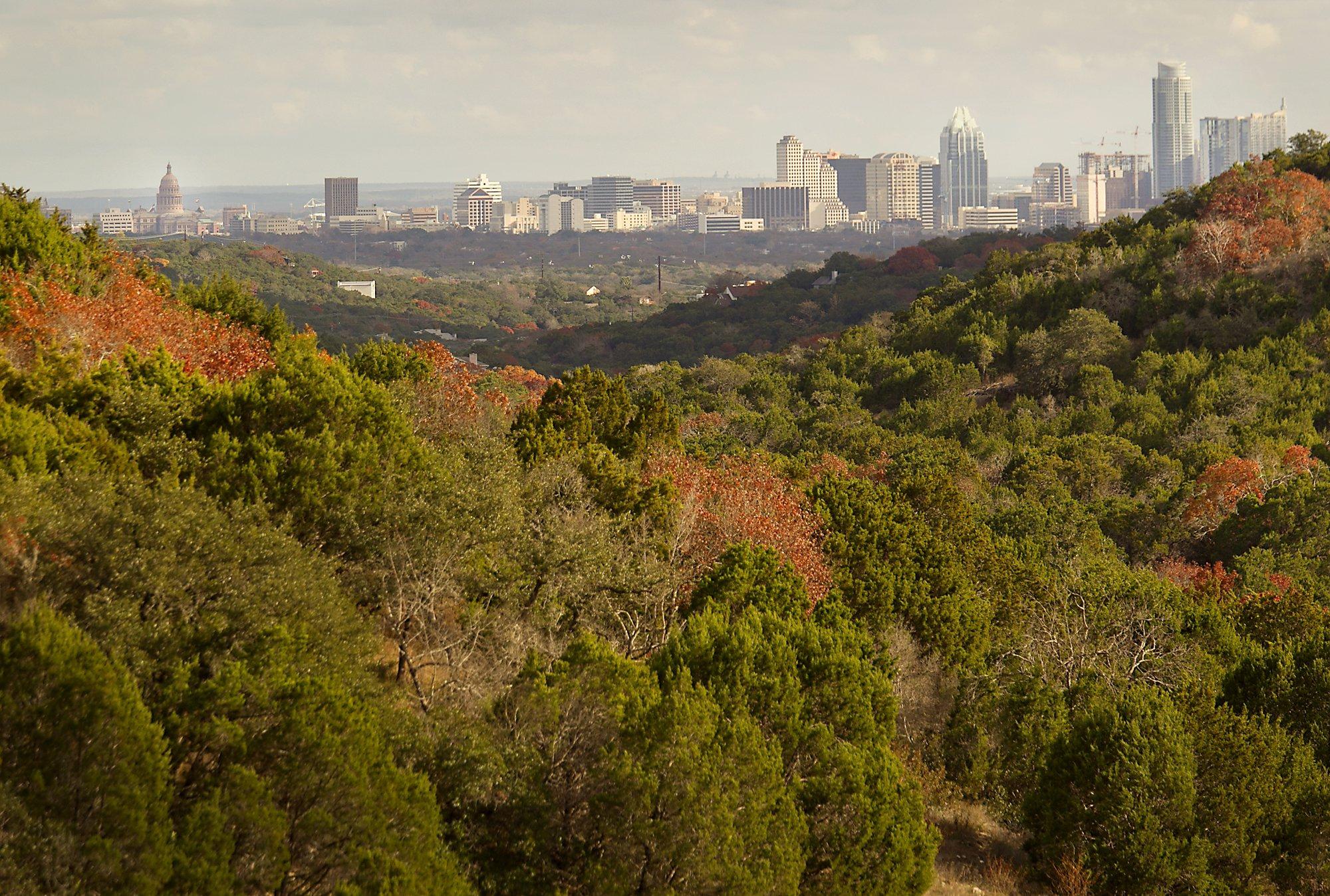 Suffering from cedar fever? See what to expect in Austin allergies
