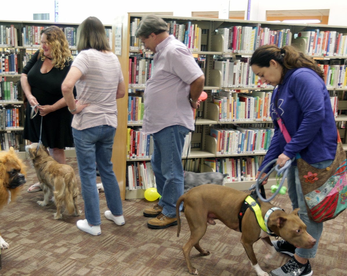 Pflugerville Public Library hosts a virtual spring break