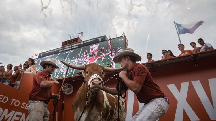 A Century of BEVO: 100 Years of UT's Beloved Mascot
