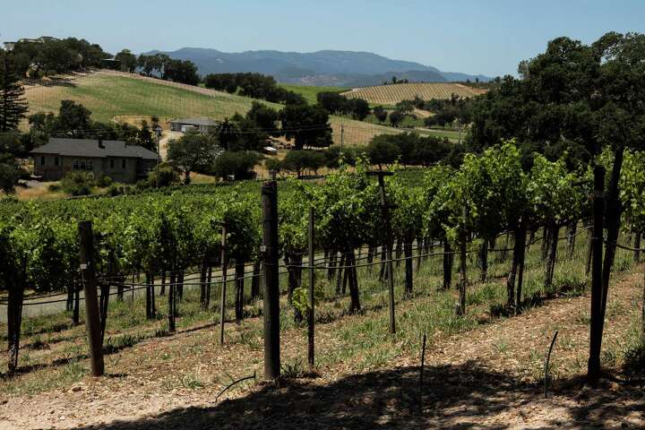White Rock Vineyards is one of Napa Valley’s best-kept secrets