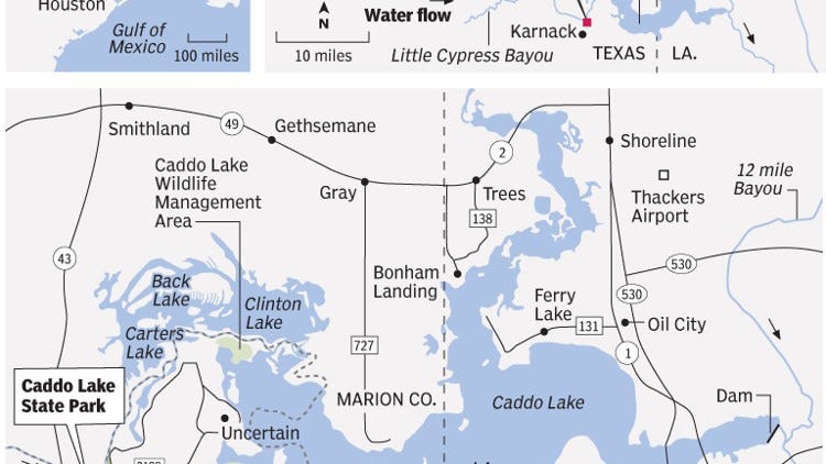 Fish the mysterious Caddo Lake