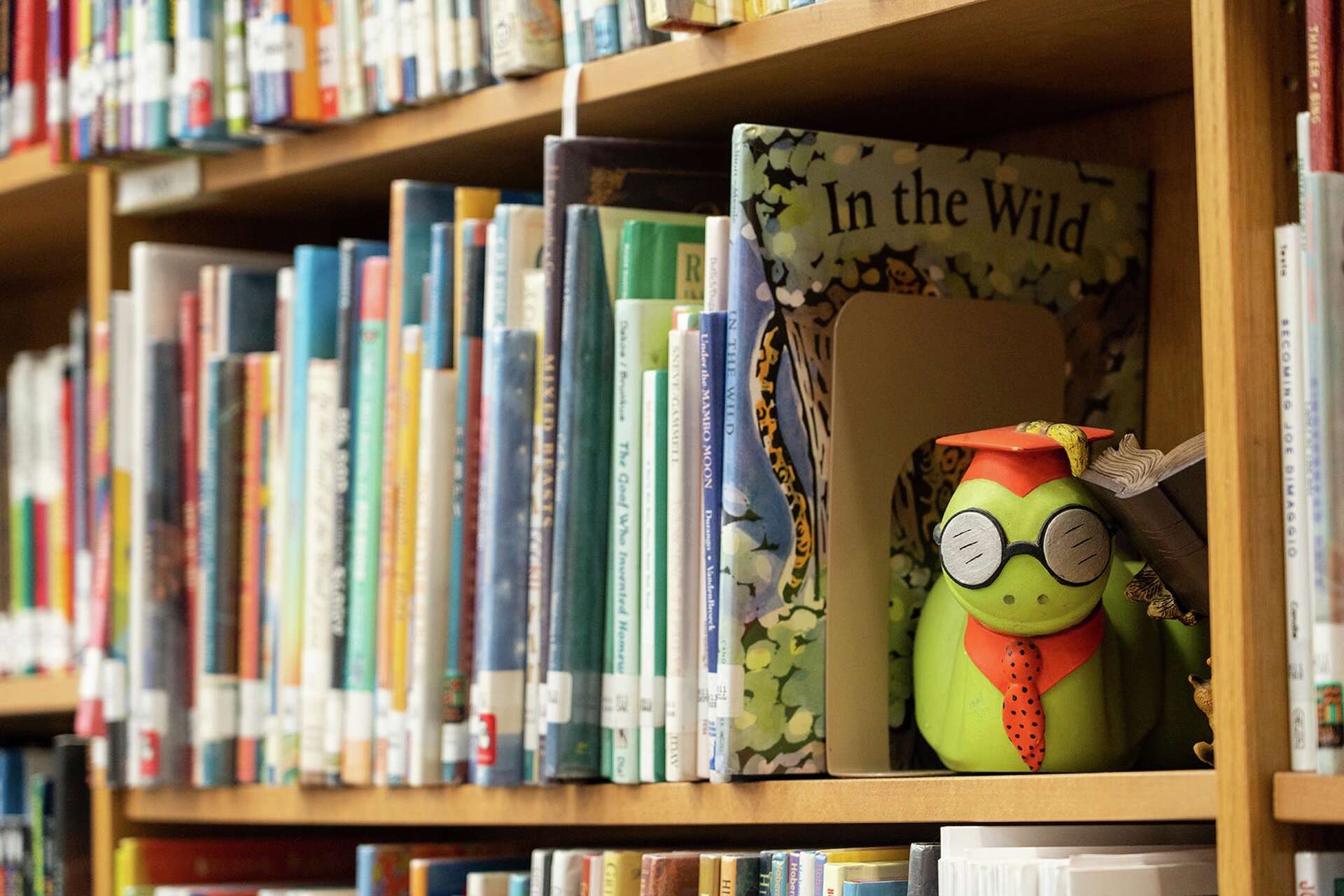 Austin ISD proposes eliminating 11.5 librarian positions