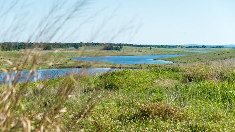 Luminant submits strip mine reclamation application to state