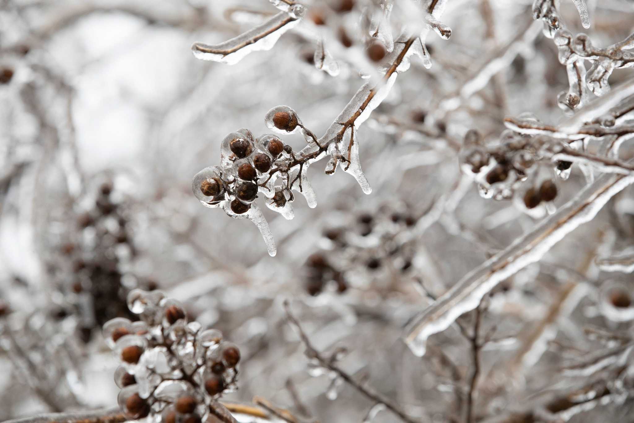 Texas freeze prep: 5 steps to protect your home, car