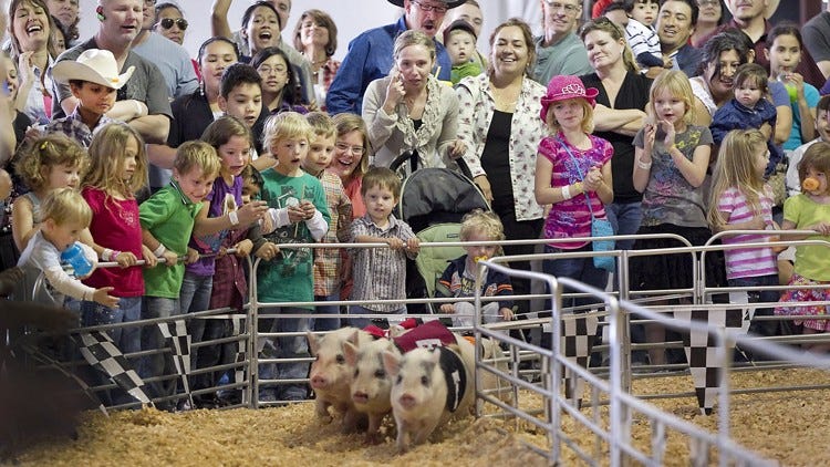 Ready to Rodeo Austin? Follow our tips