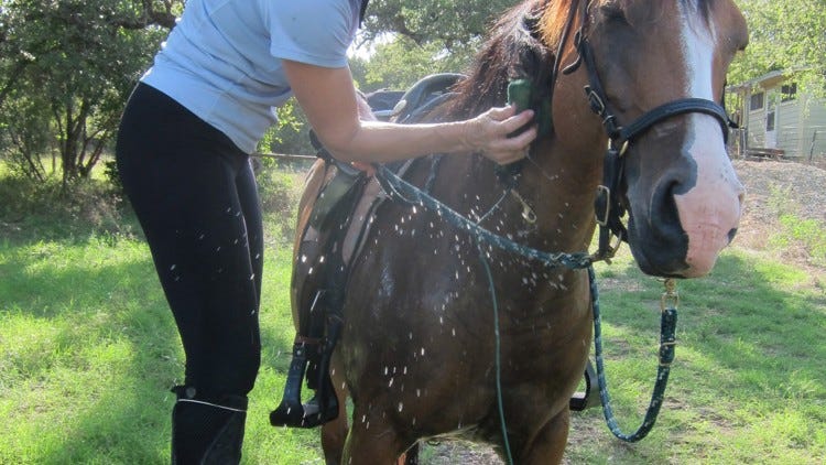 Changes afoot at Parrie Haynes Ranch