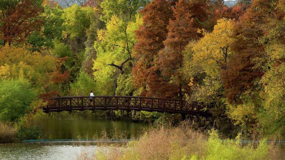 Where to see fall foliage, leaves with color in Austin, Central Texas
