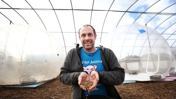Austin startup Grub Tubs builds a business model around leftover food ...