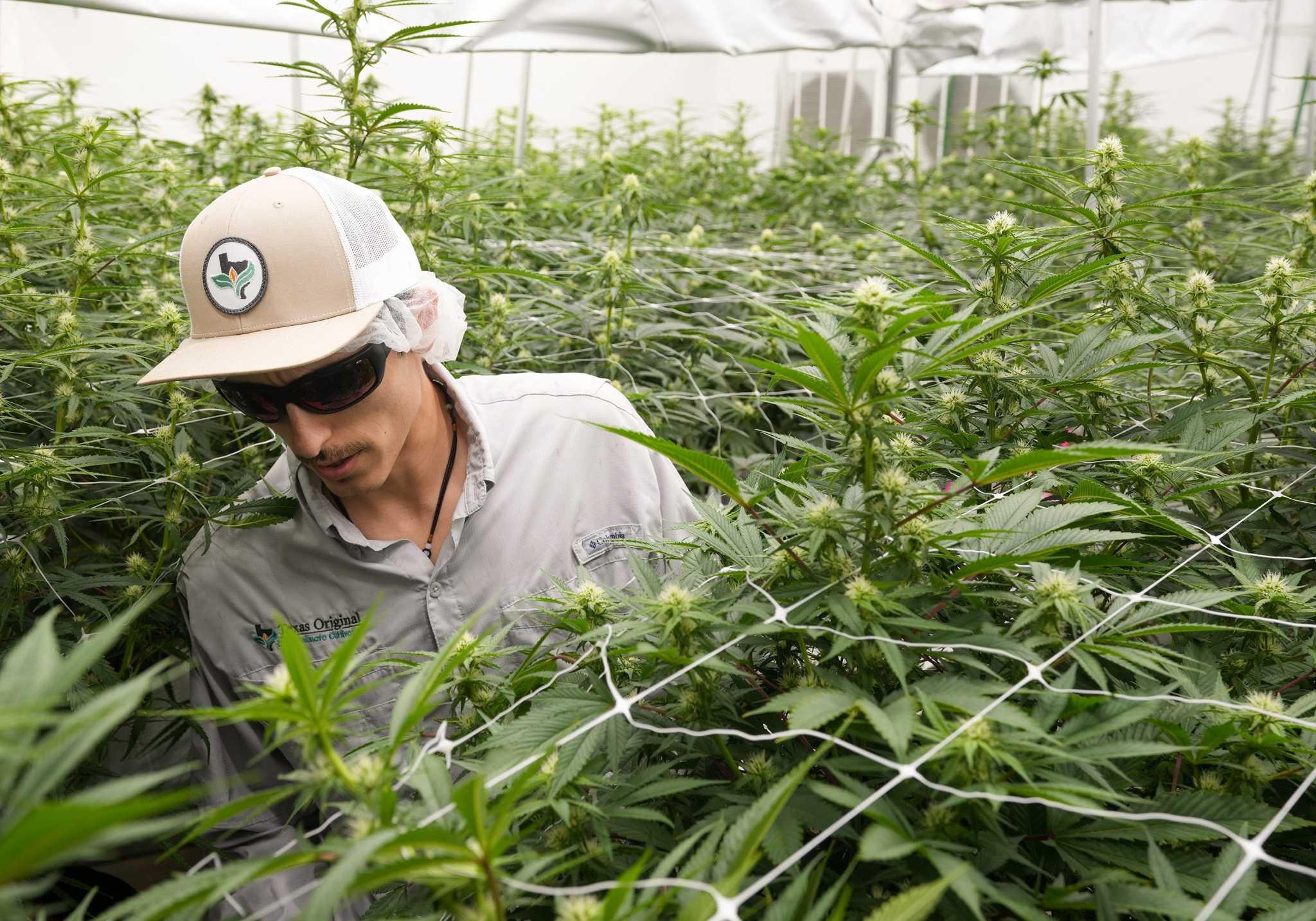 Take a look inside Texas Original medical cannabis dispensary