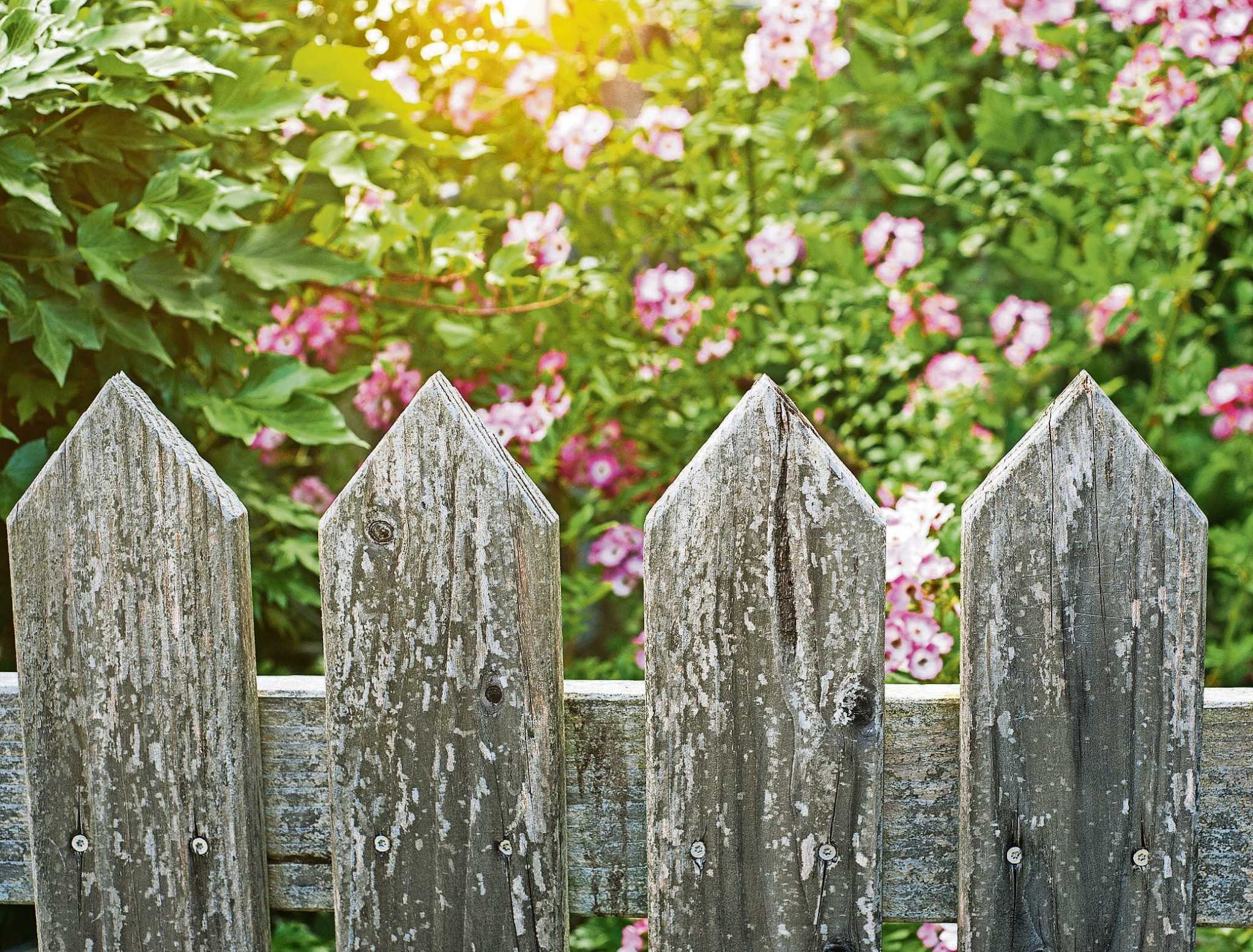 What you need to know before fencing in a yard