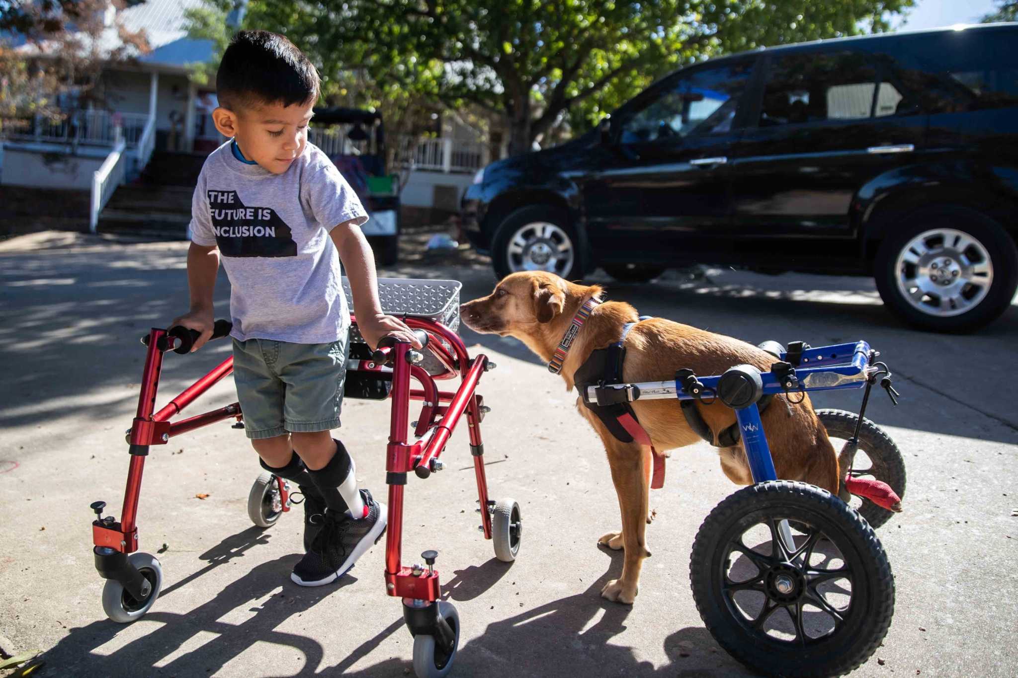 Why Safe in Austin Rescue Ranch went viral 4 years after 'Queer Eye'