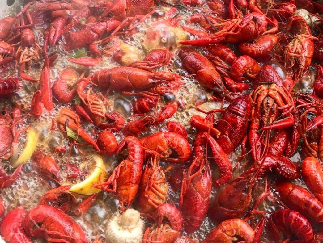 Austin Crawfish Festival returns April 4 to a new venue