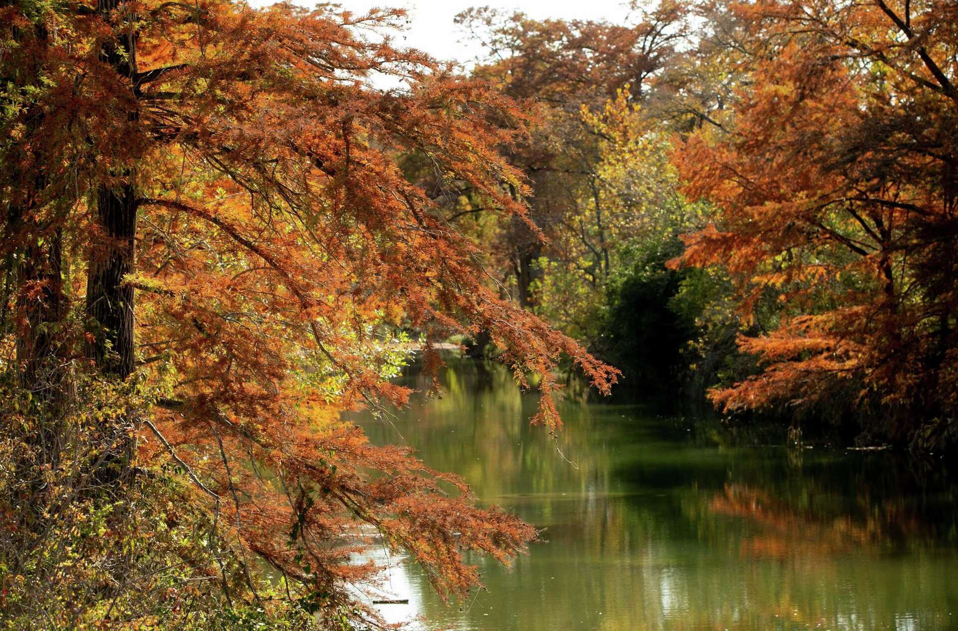 Fall foliage map 2025: When and where to see autumn colors in Austin
