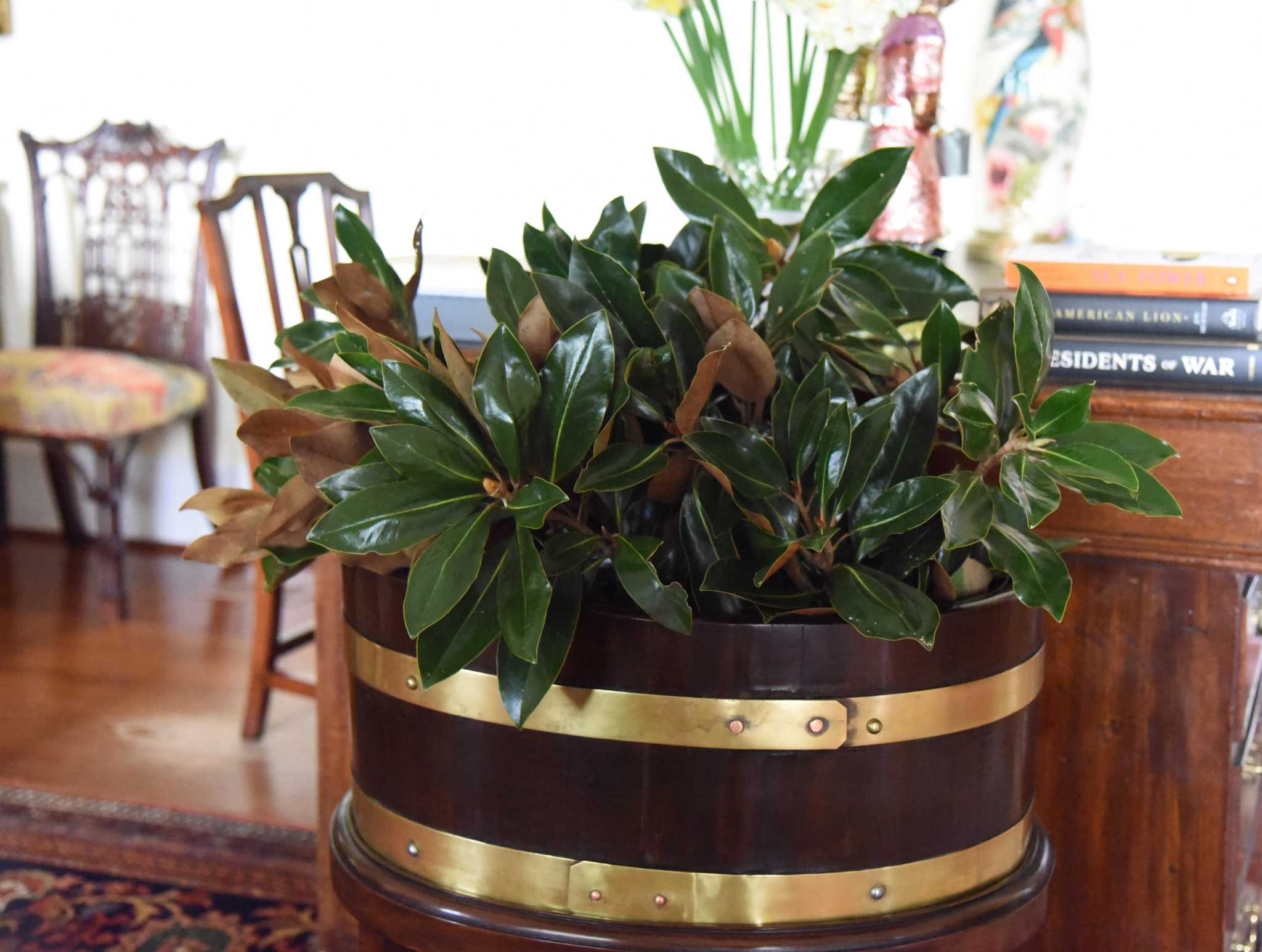Betty Montgomery: Magnolia for the holidays