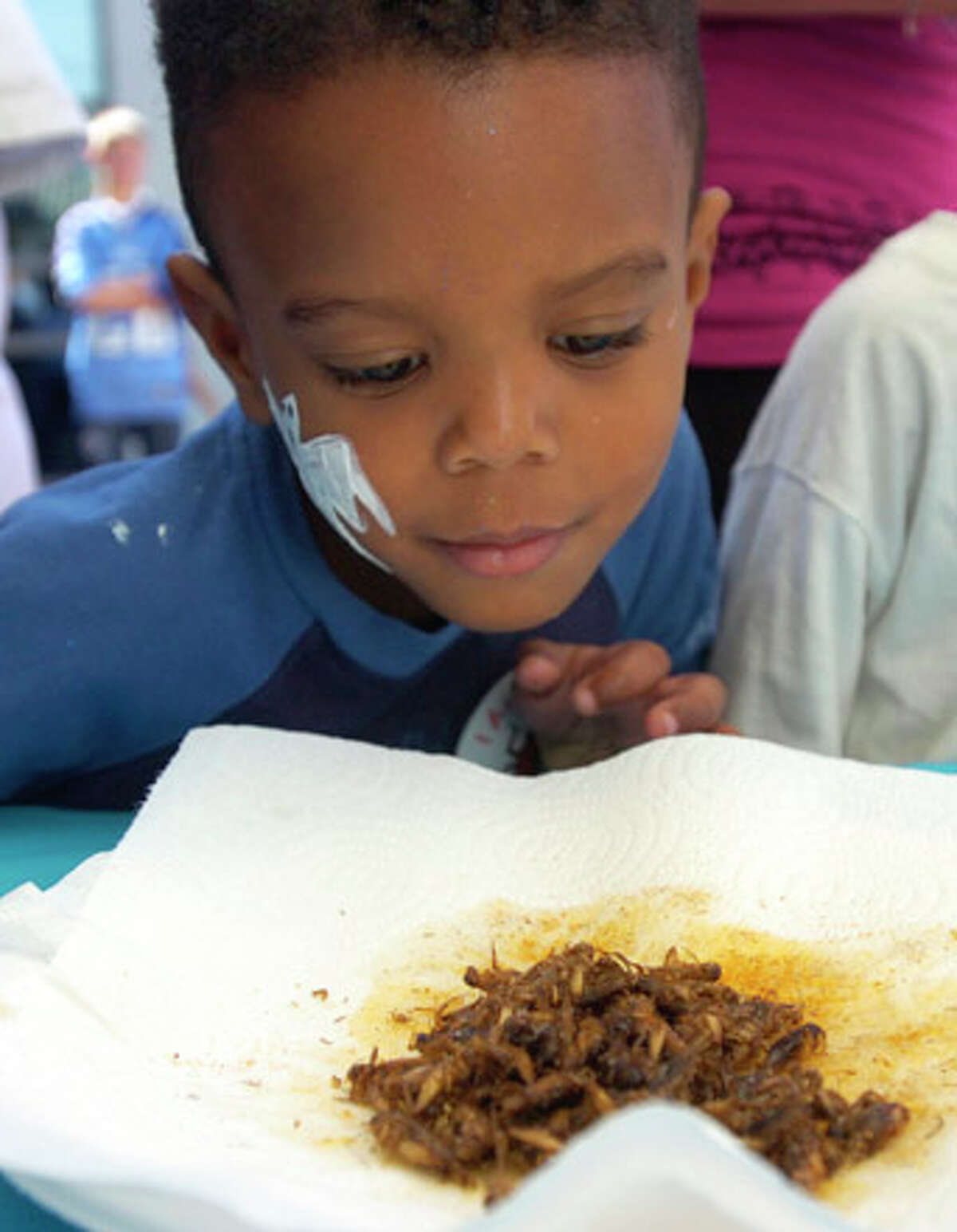 Eat a Bug Family Arts Day at AMSET