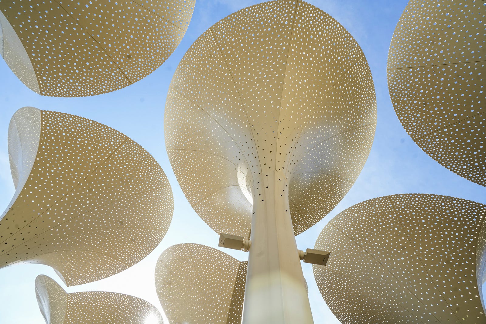 Austin's Blanton Museum makeover: new art, hours, patio, sound garden
