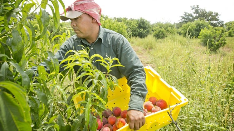 Dallas Fed: Region’s economy grows as energy sector starts to stabilize