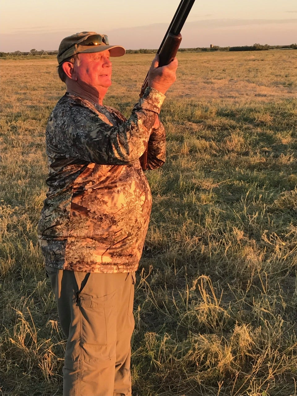 Dove hunts made easier by large amounts of croton seeds in a field