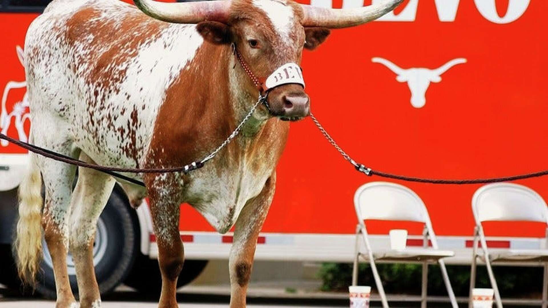 5 things to know about Bob Bowman, Texas' new swimming coach