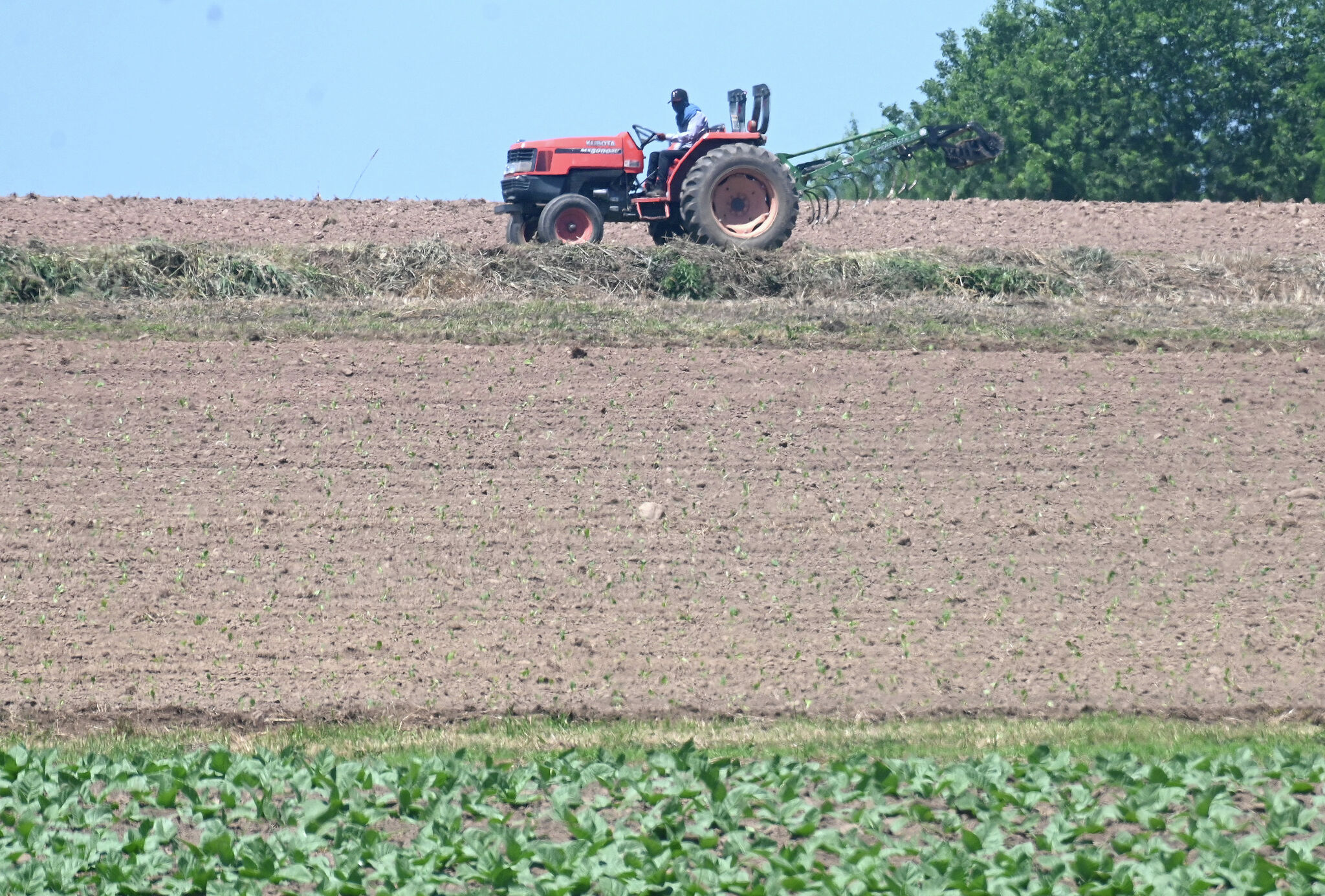 CT governor activates extreme hot weather protocol starting Tuesday
