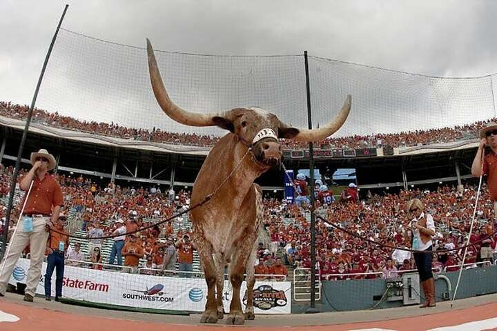 Texas Longhorns beloved mascot Bevo: See photos through the years
