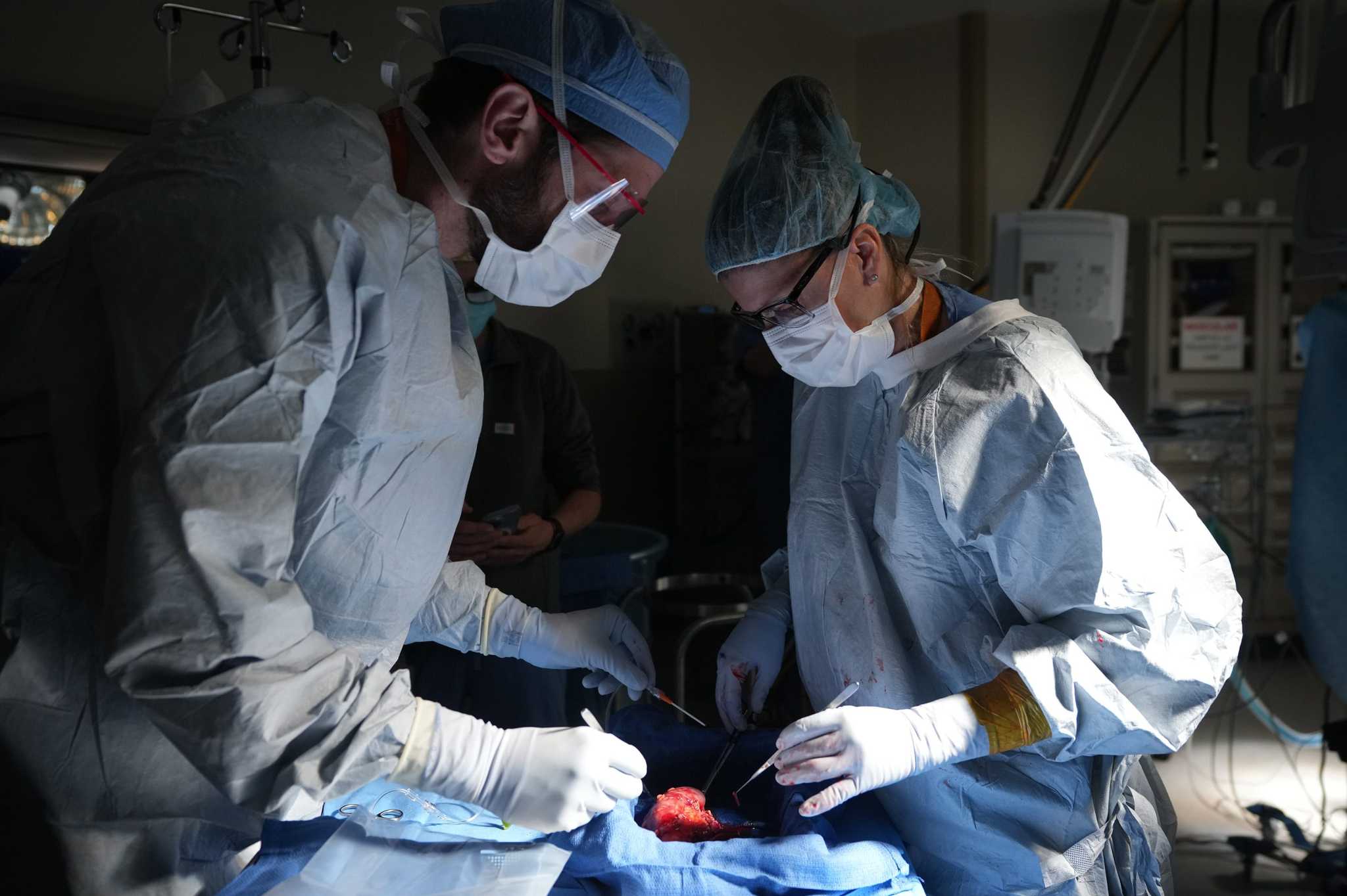 Growth of Austin health care programs