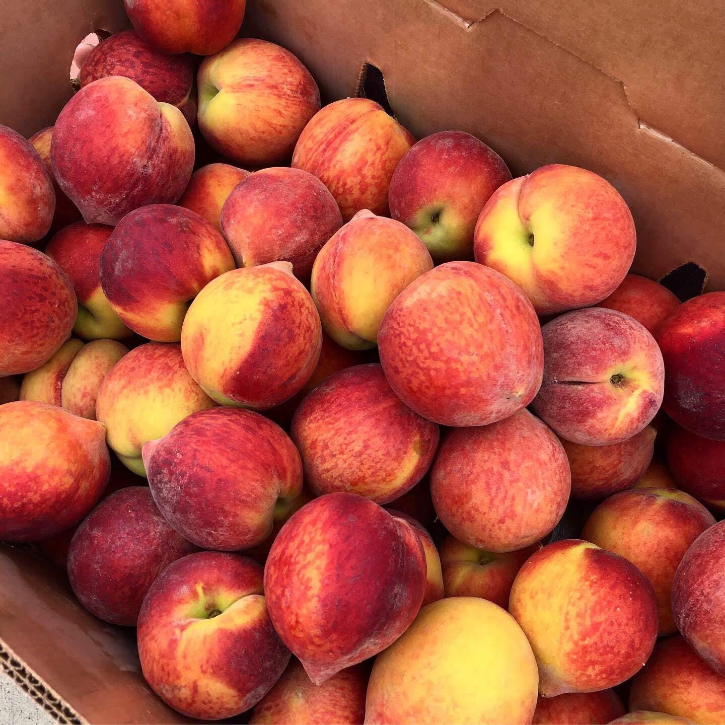By the box: Where to buy bulk peaches in June, July