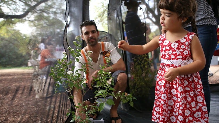 Want to sip and stroll through Zilker Botanical Garden at twilight ...