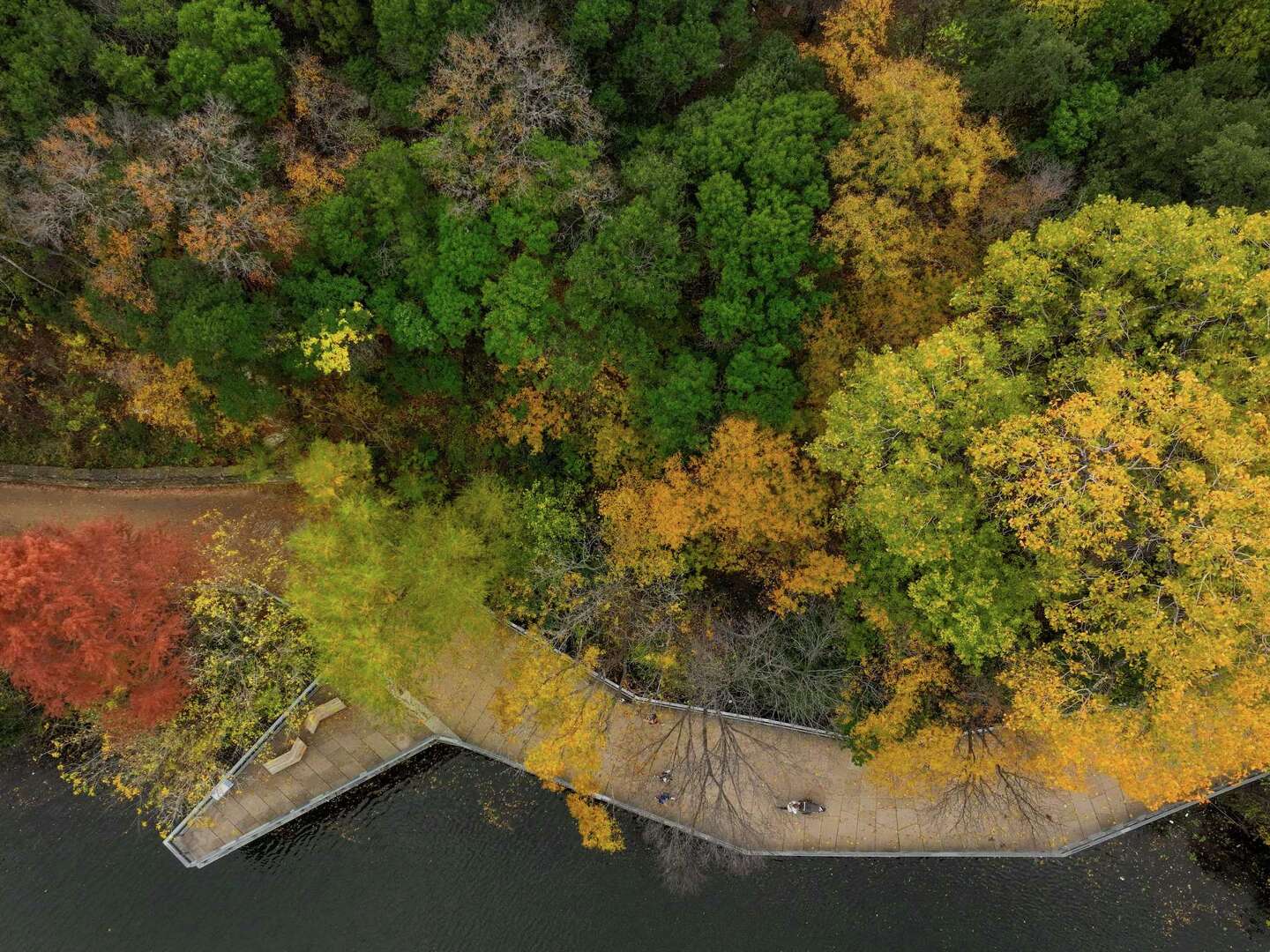Fall foliage map 2025: When and where to see autumn colors in Austin