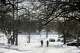 Austin freeze 2022: Here's how to prepare for Texas winter weather