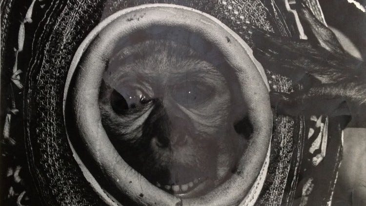 The short suborbital career of Austin native Sam the Space Monkey