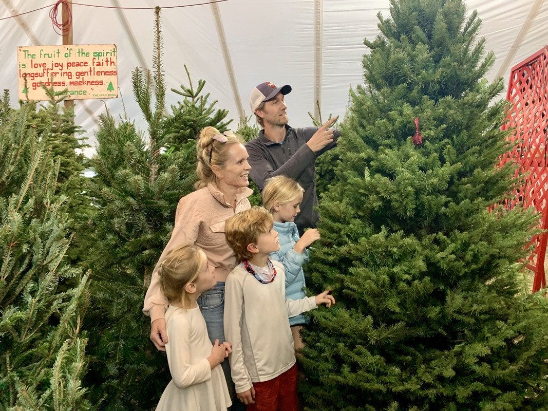 Where to recycle your Christmas tree for free in Austin
