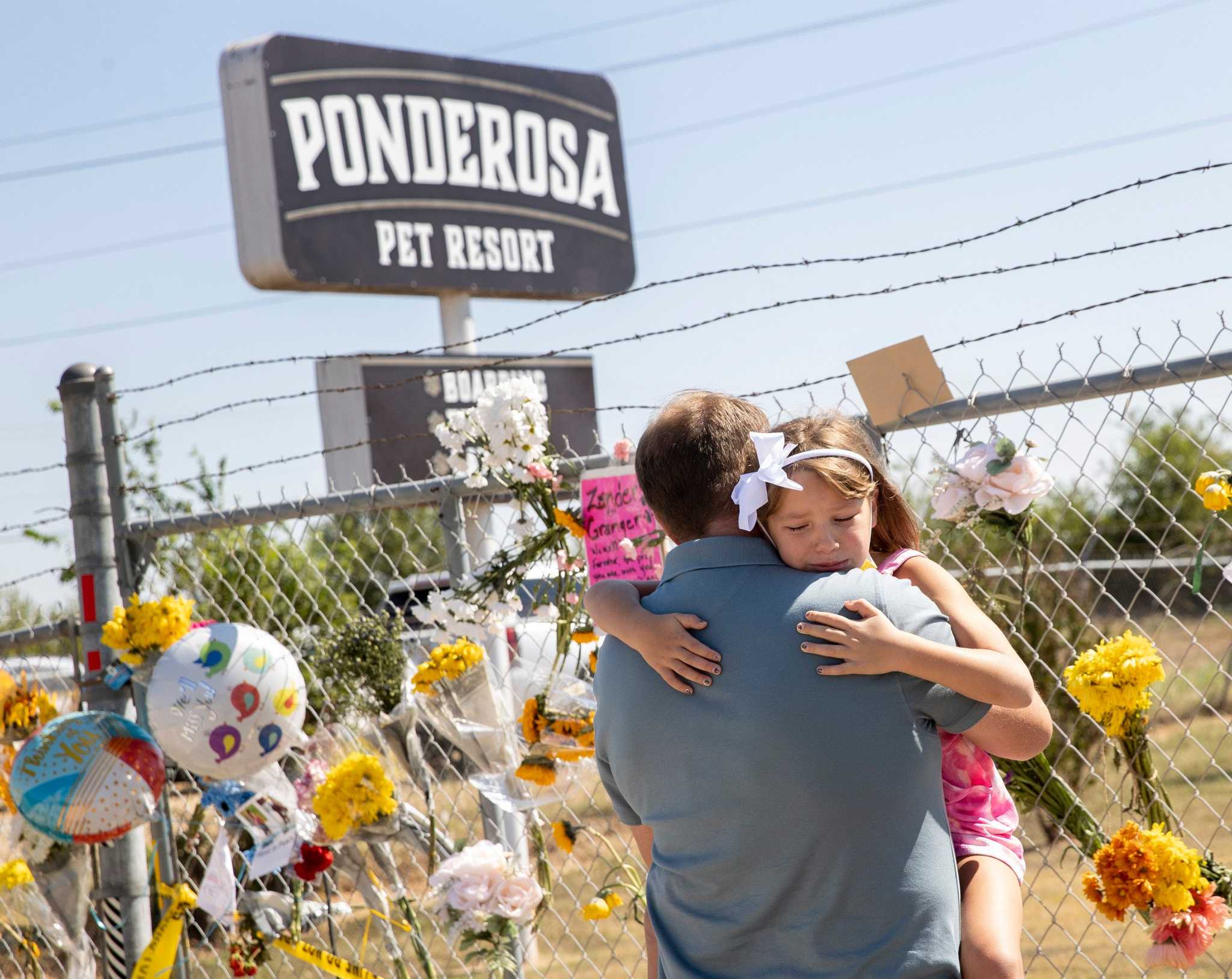 Suit: Georgetown kennel had electrical issues before 75 dogs died in fire