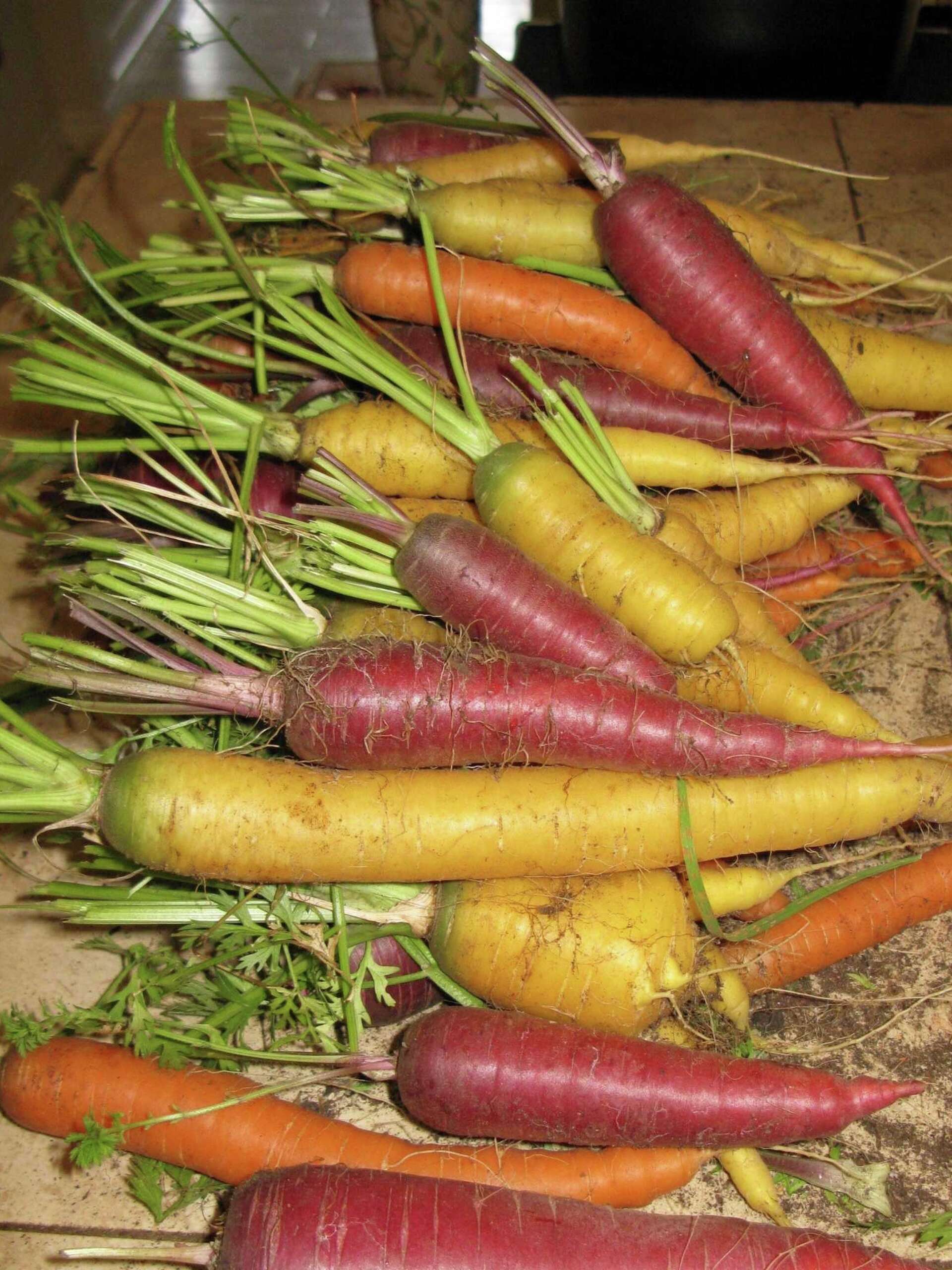Plan your urban farm to grow and prepare your own food