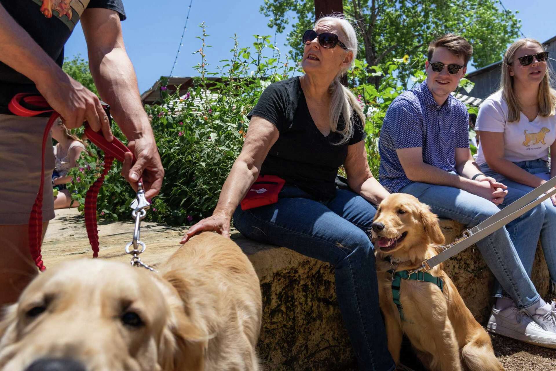 Want to adopt on National Dog Day 2025 in Austin? Here's what to know.