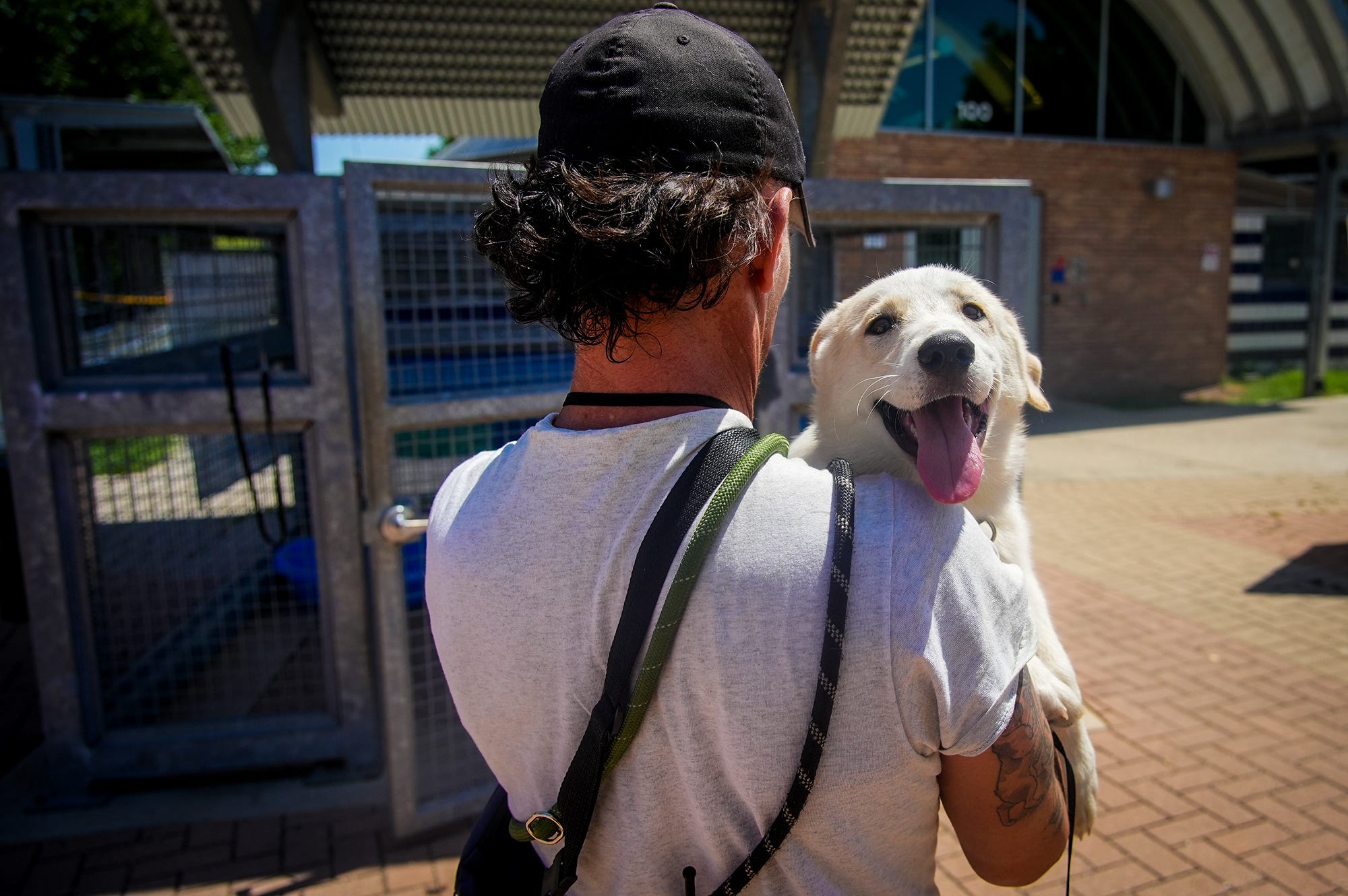 Austin Animal Center is overcrowded. Photos may inspire you to adopt