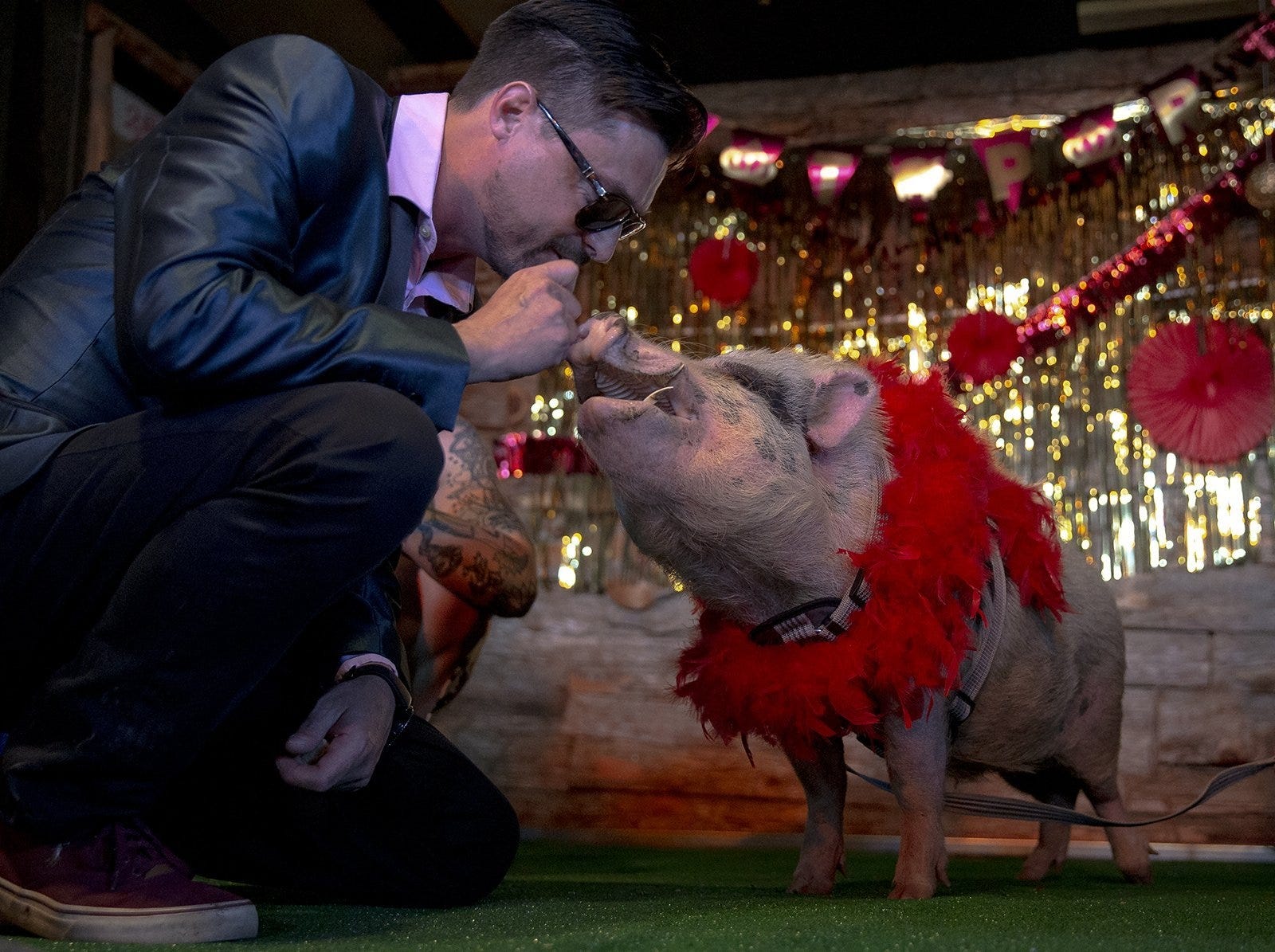 During pageant, pigs' personalities on parade