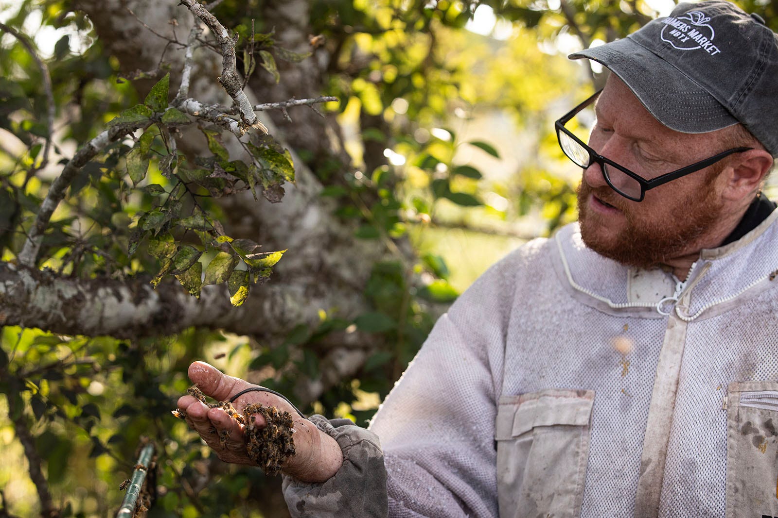 New television show features Central Texas beekeeper saving wild bees.