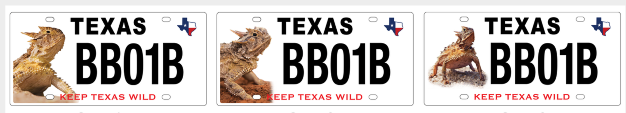 Which design should be the new Texas horned lizard license plate?