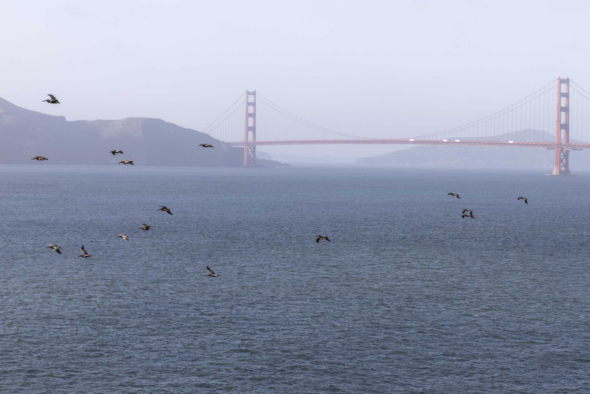 Golden Gate Bridge operator considers removing DEI references