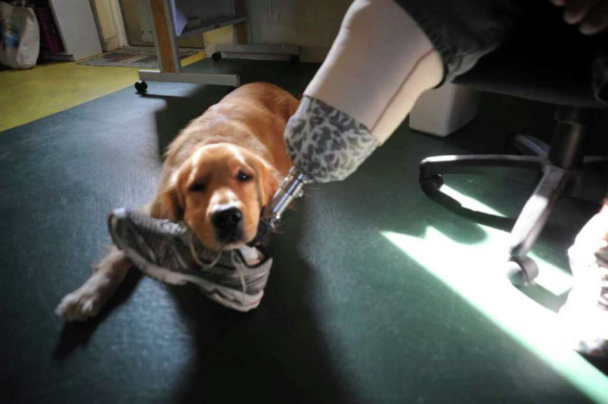 Warriors' wounded psyches healed by service dogs